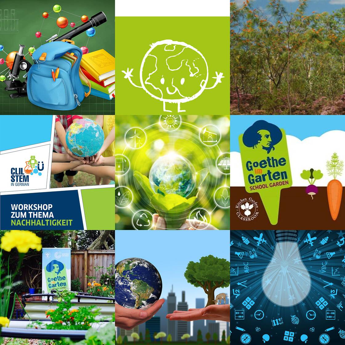 CLIL: Eine Einführung im Überblick - Deutschstunde Portal - Goethe-Institut