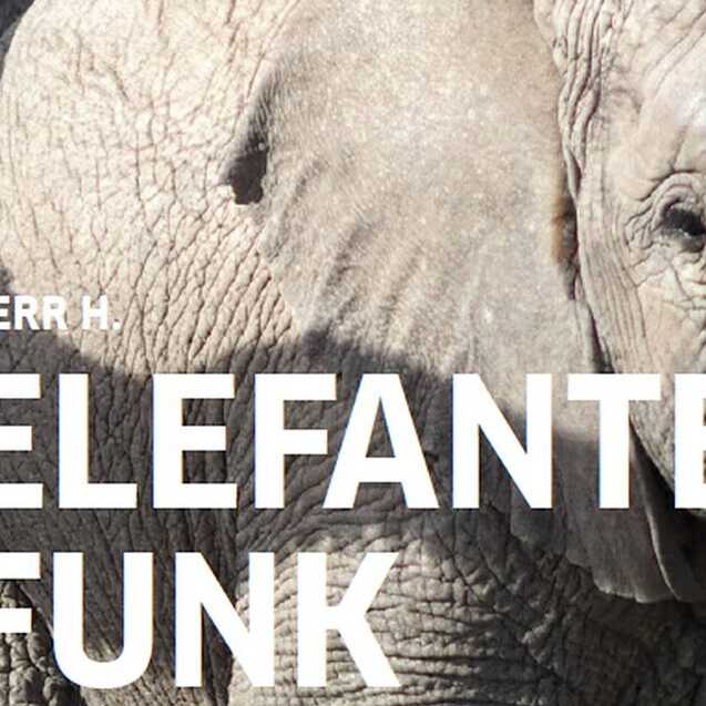 „Gesund leben mit Felix und Franzi“ - Deutschstunde Portal - Goethe ...