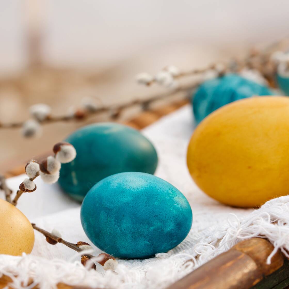 Elementary German: Activities and exercises - Deutschstunde Portal ...