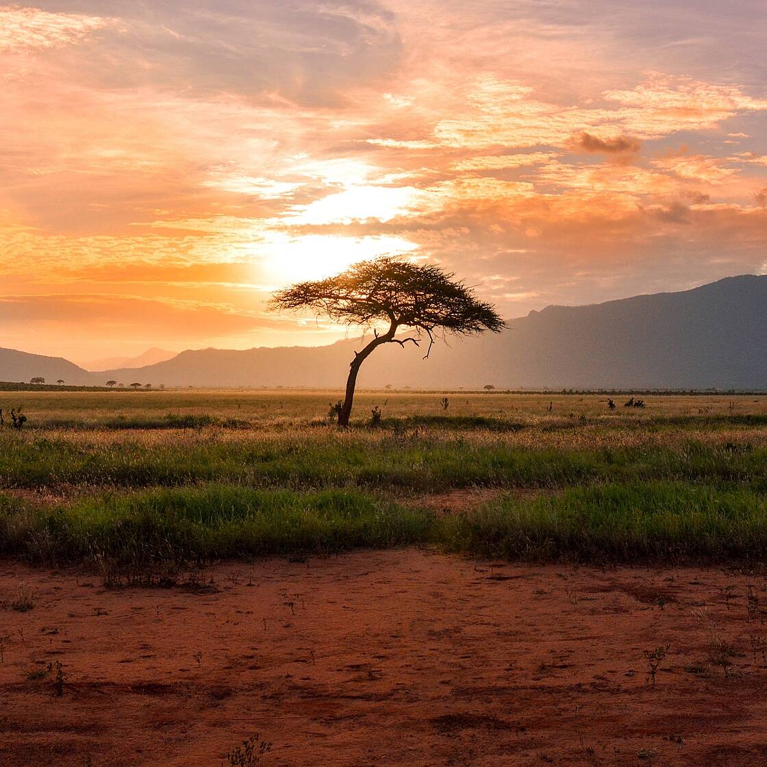 The Very Large Telescope (VLT) - UMI UNIVERSUM. MENSCH.