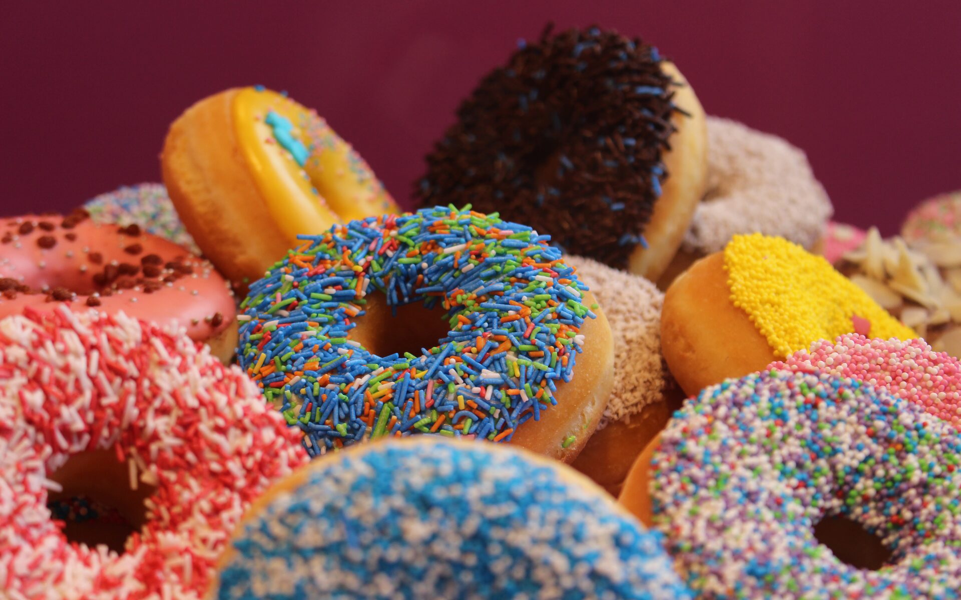 Ekonomie koblihy nesmí zůstat na papíře - Jádu - Goethe-Institut