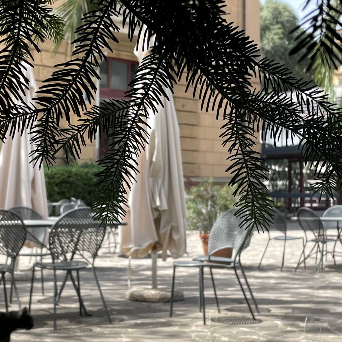 Goethe-Institut Italia | Roma