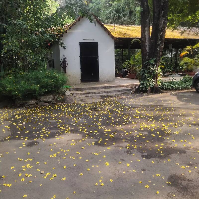 Goethe-Institut Pune | Sprache. Kultur. Deutschland.