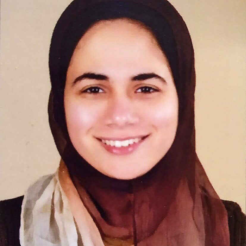 Ashraf, Engy - Perspectives from North Africa and the Middle East ...