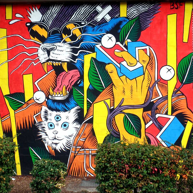 Cats - Goethe-Institut