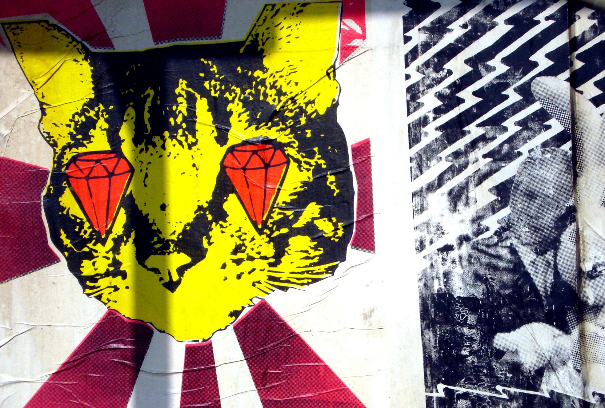 Various Cats by Cat Cult - artbits - Goethe-Institut