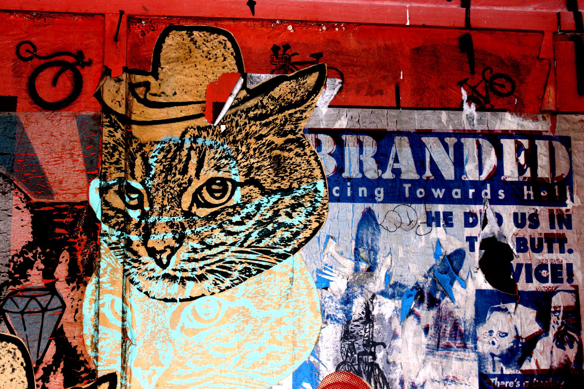 Verschiedene Katzen von Cat Cult - artbits - Goethe-Institut