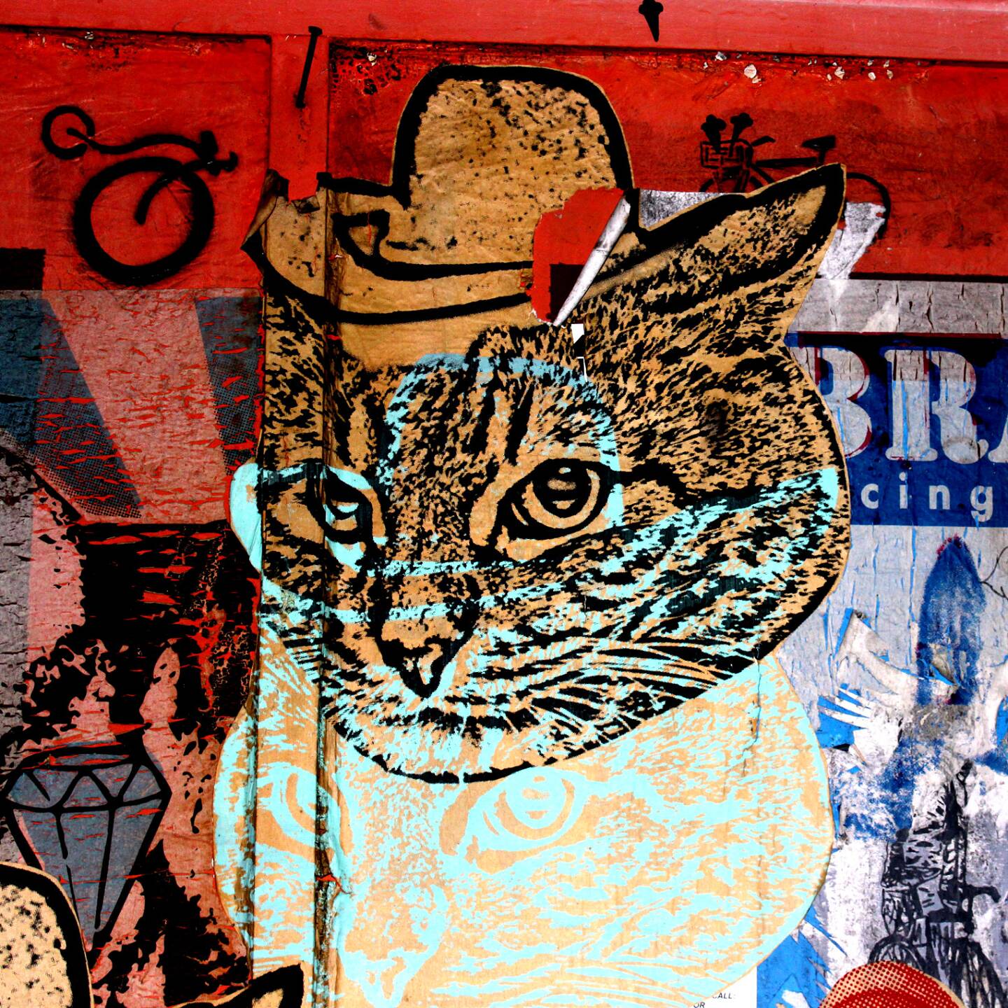 Cats - Goethe-Institut