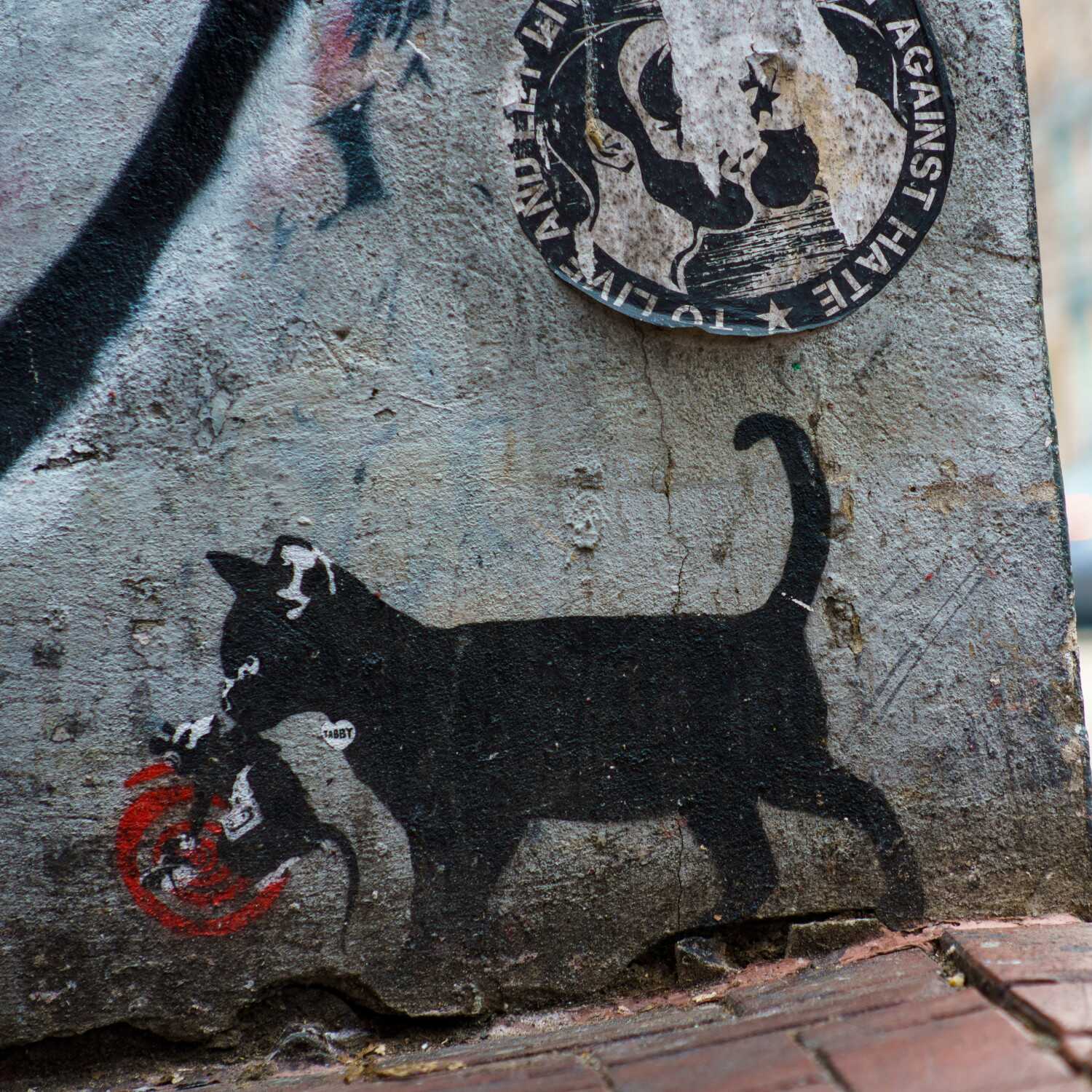 Cats - Goethe-Institut