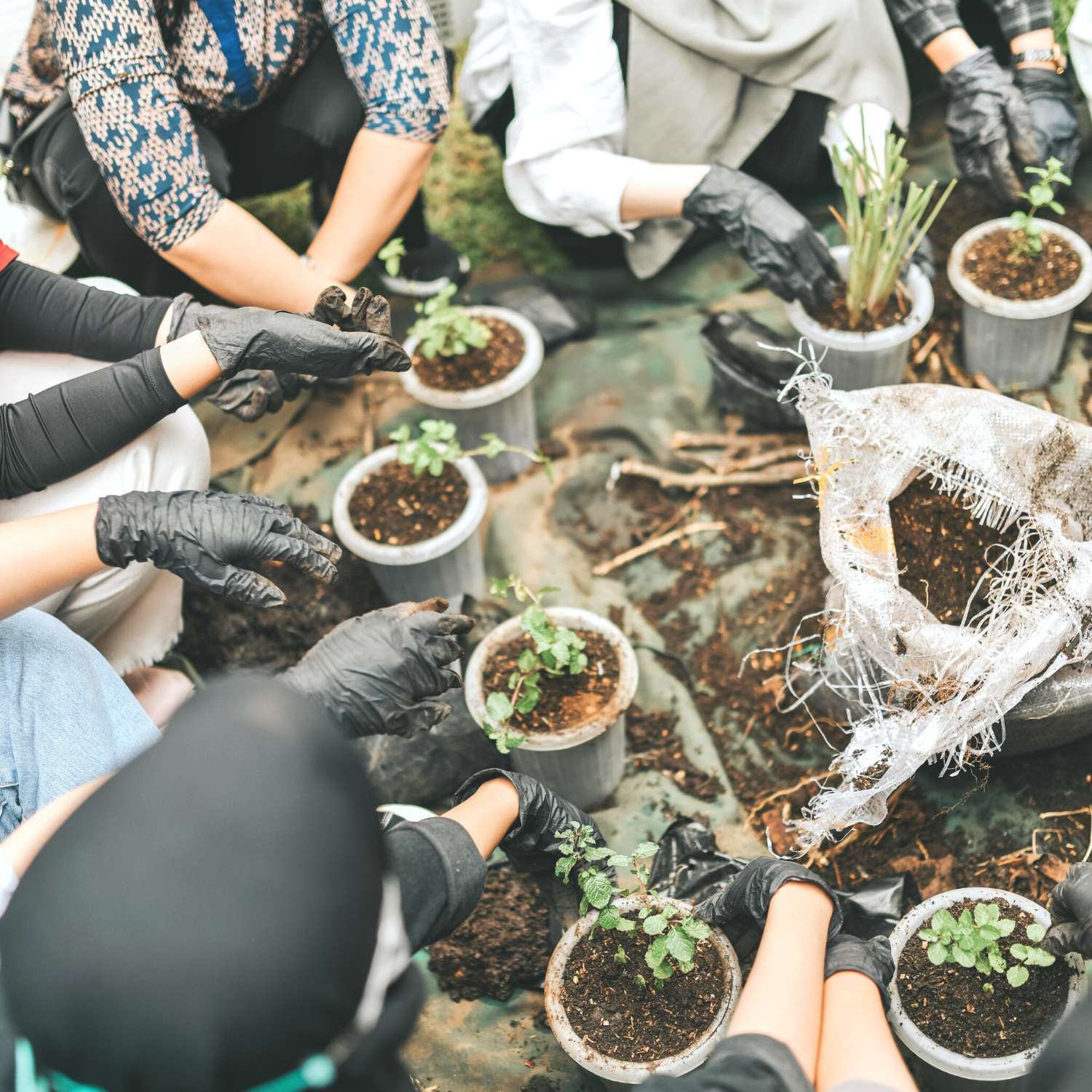 Bandung - Goethe-Institut Bandung - Indonesia