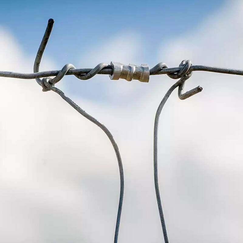 Goethe-Institut USA | Language. Culture. Germany.