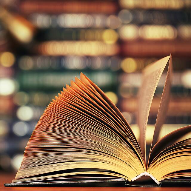 Goethe-Institut USA | Washington