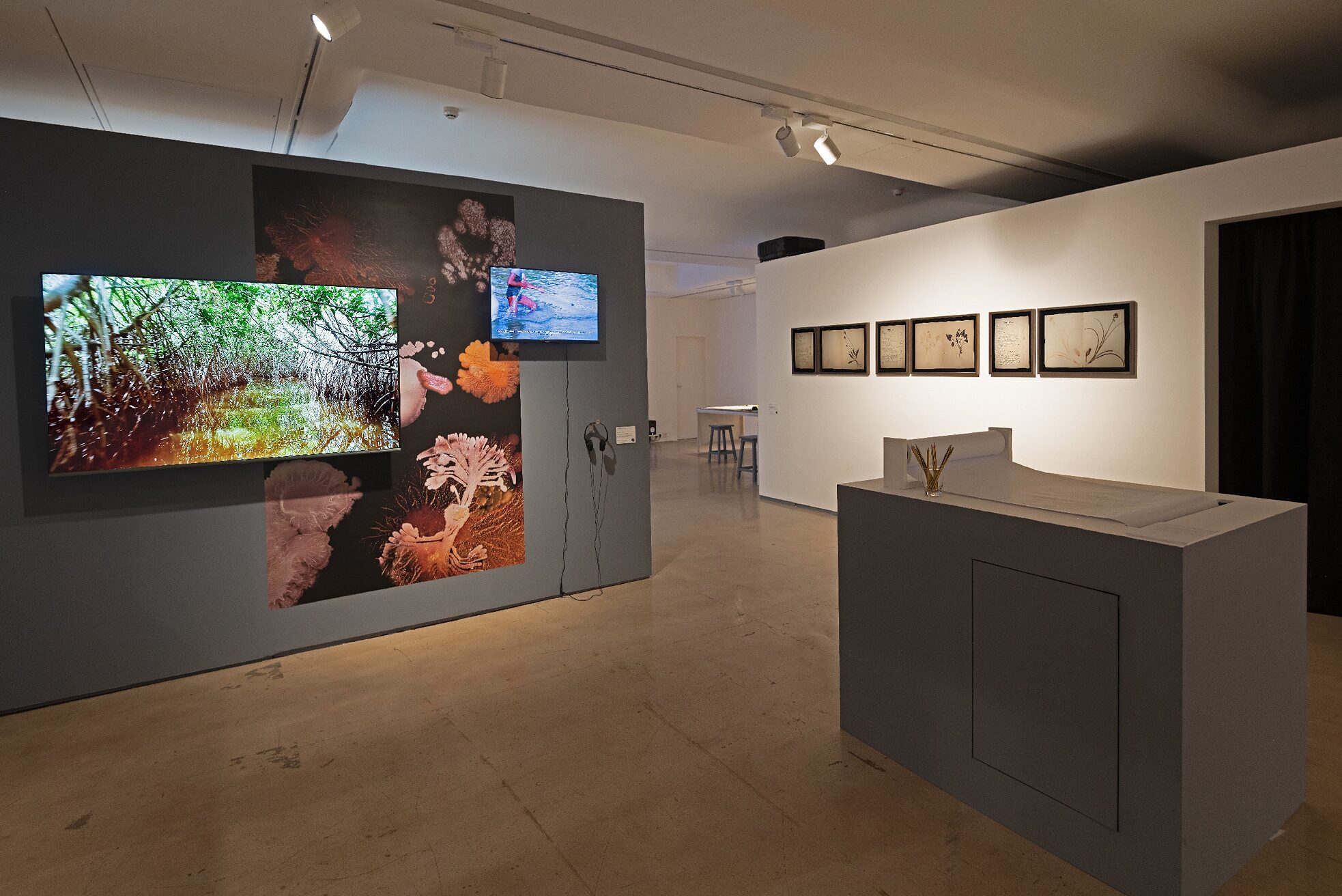 Critical Zones Mumbai - Travelling Exhibition - Goethe-Institut Max ...