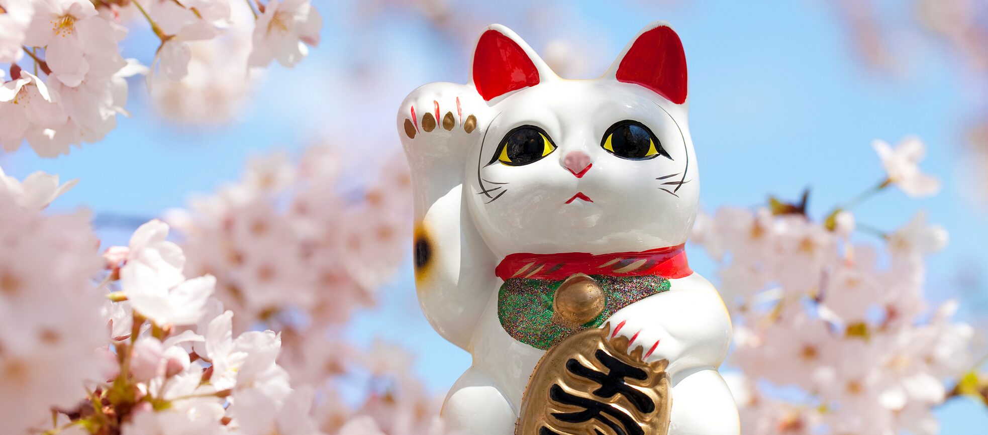 Cats Are (As Yet) Always Good Content! - #DeutschlandNoFilter - Goethe ...