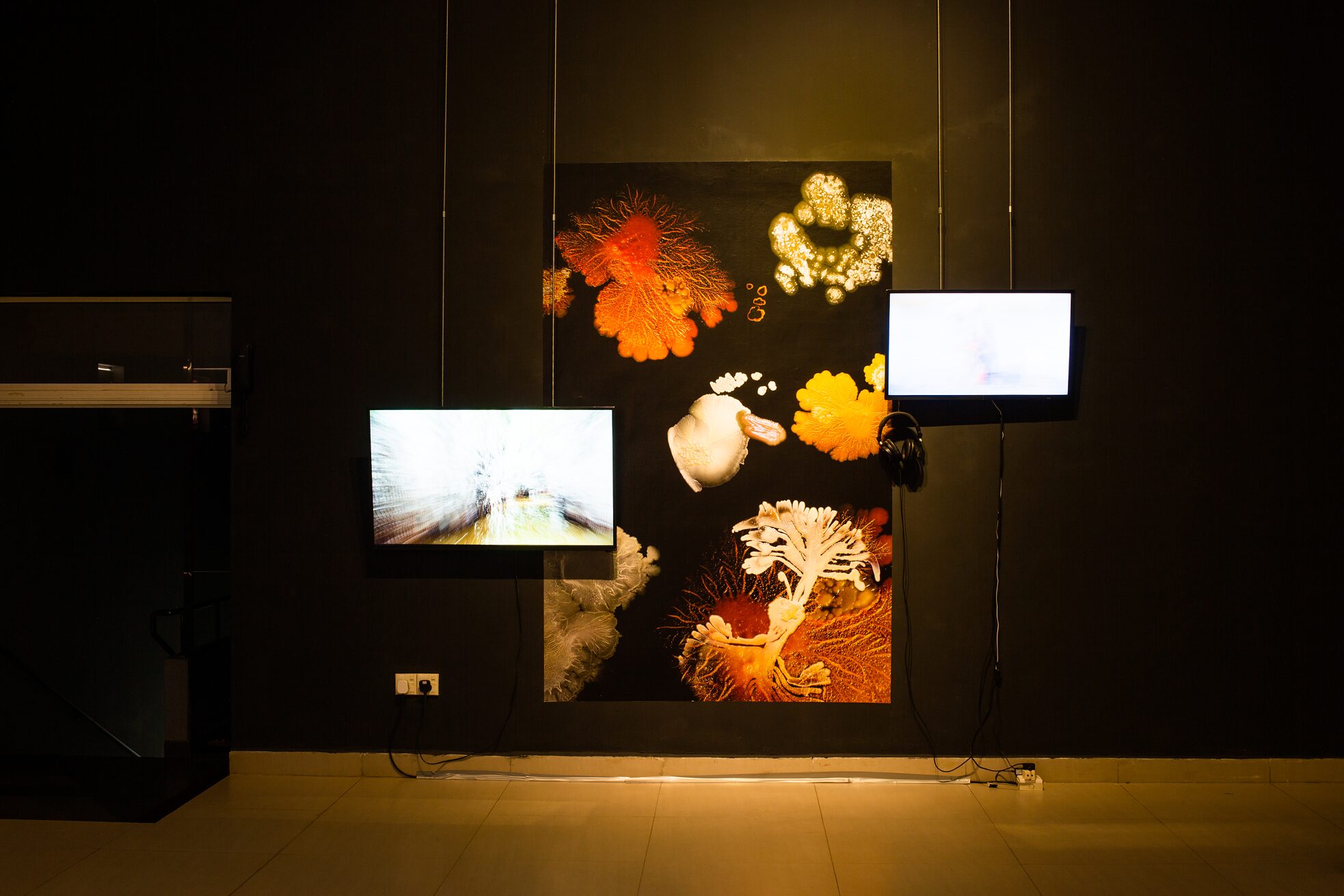 Critical Zones Colombo - Travelling Exhibition - Goethe-Institut Max ...