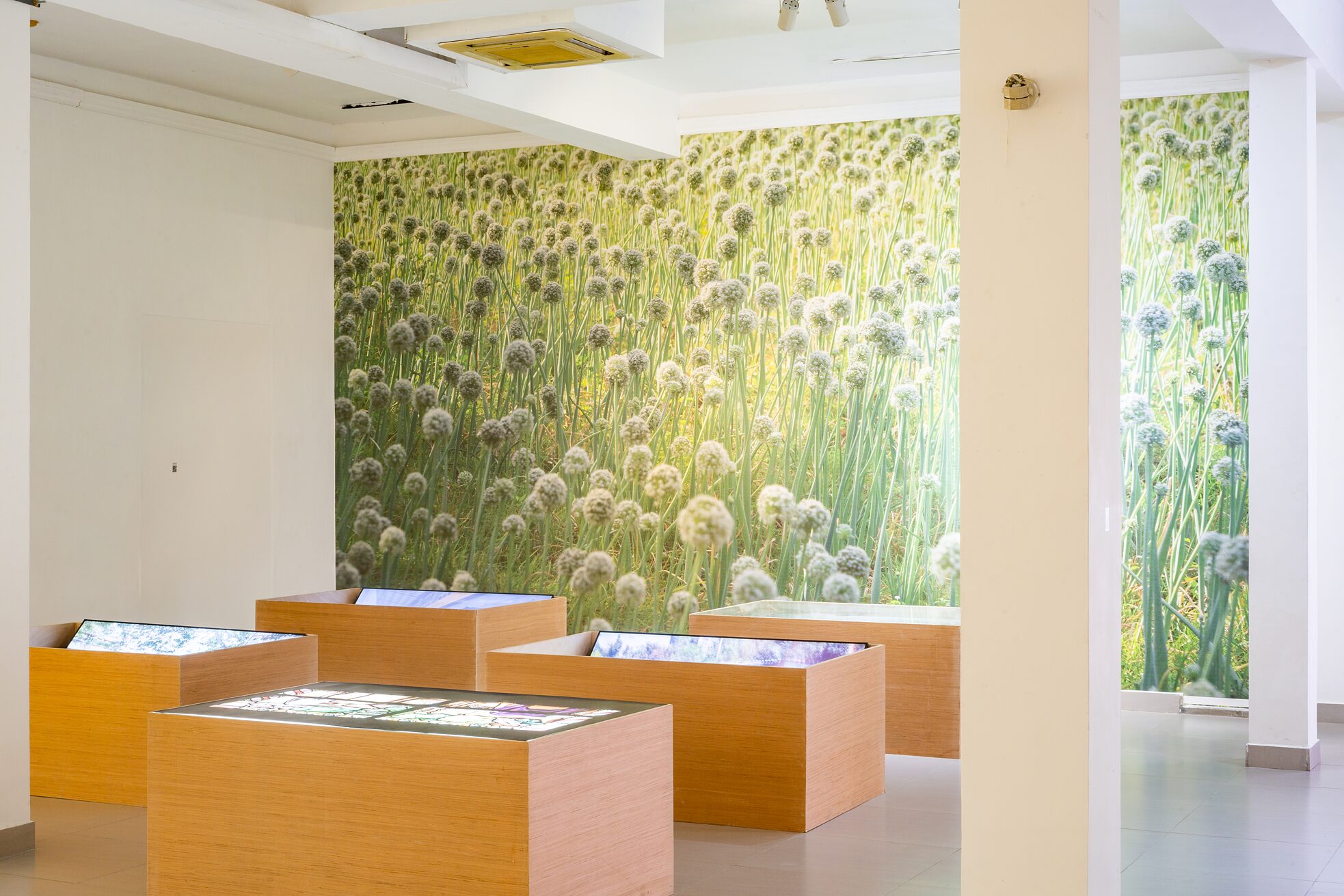 Critical Zones Colombo - Travelling Exhibition - Goethe-Institut Sri Lanka