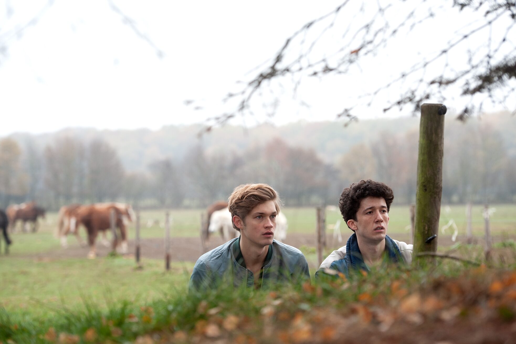 How To Sell Drugs Online (Fast) - Humboldt - Magazin - Goethe-Institut