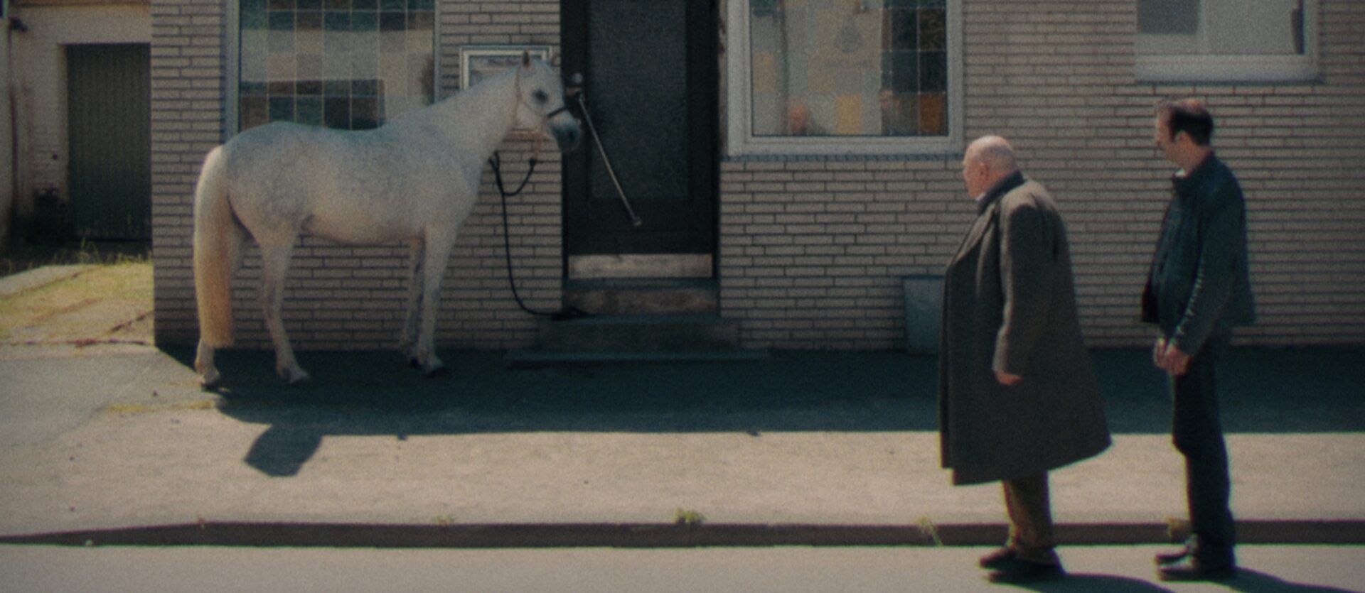 Streaming: The Massacre of Anroechte - Goethe-Institut Cyprus