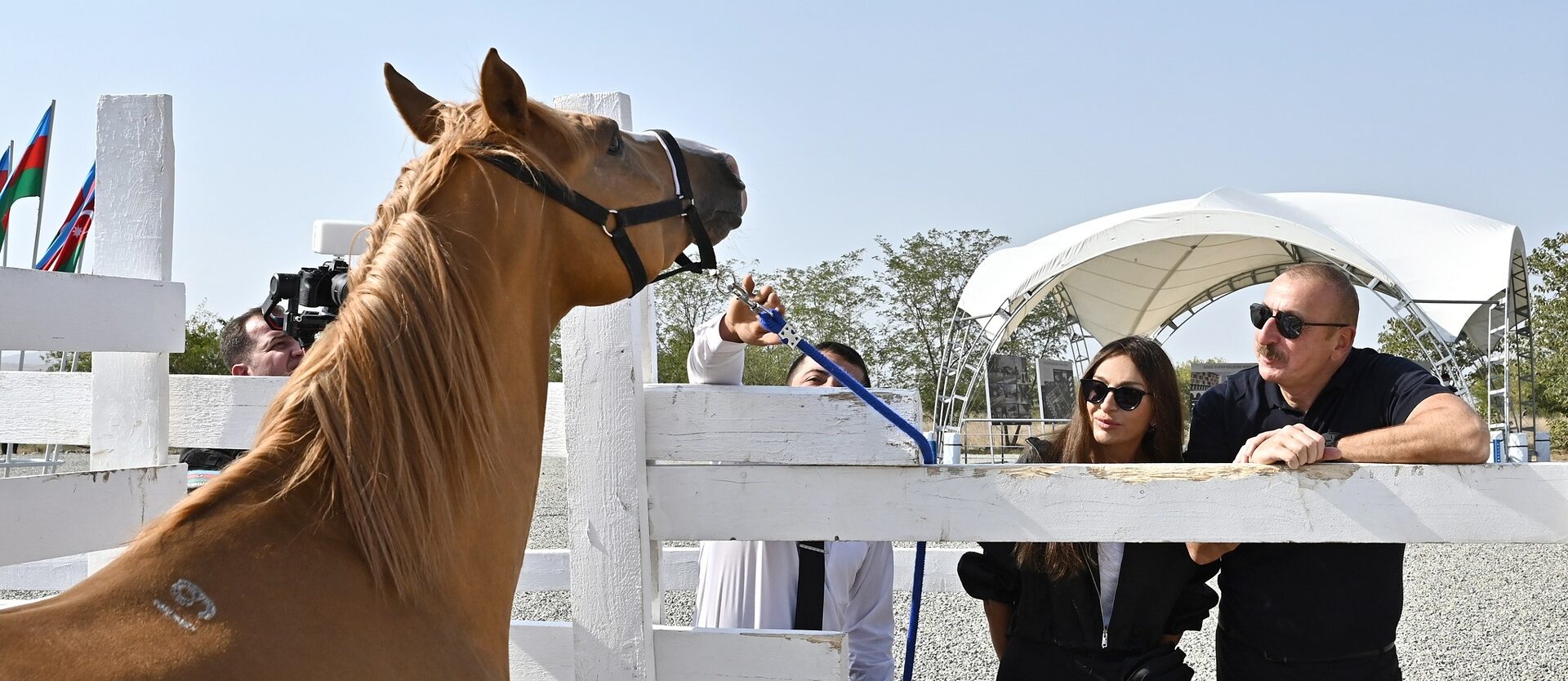 World famous Karabakh horses striving to get back their places under ...