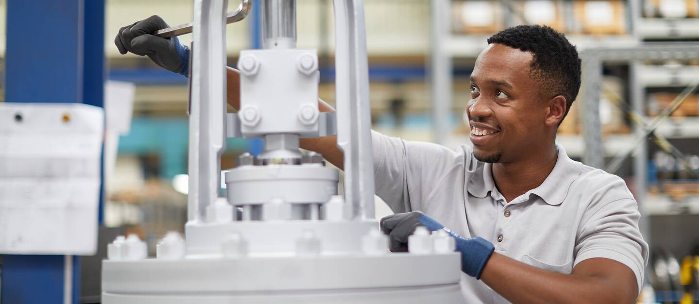 Skilled workers from abroad - Prepare. Qualify. Support. - Goethe-Institut