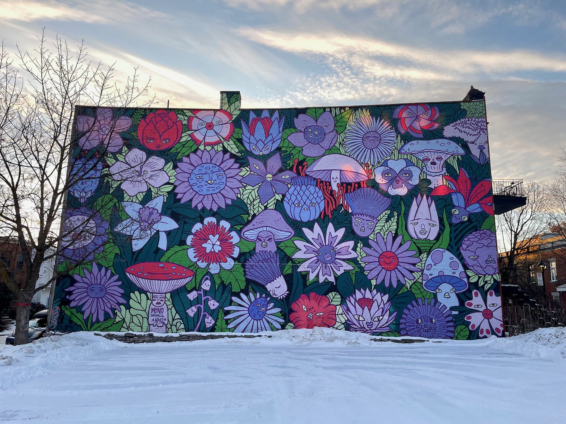 Ein Garten von Monosourcil - Transatlantisches - Gegenüber - Goethe ...