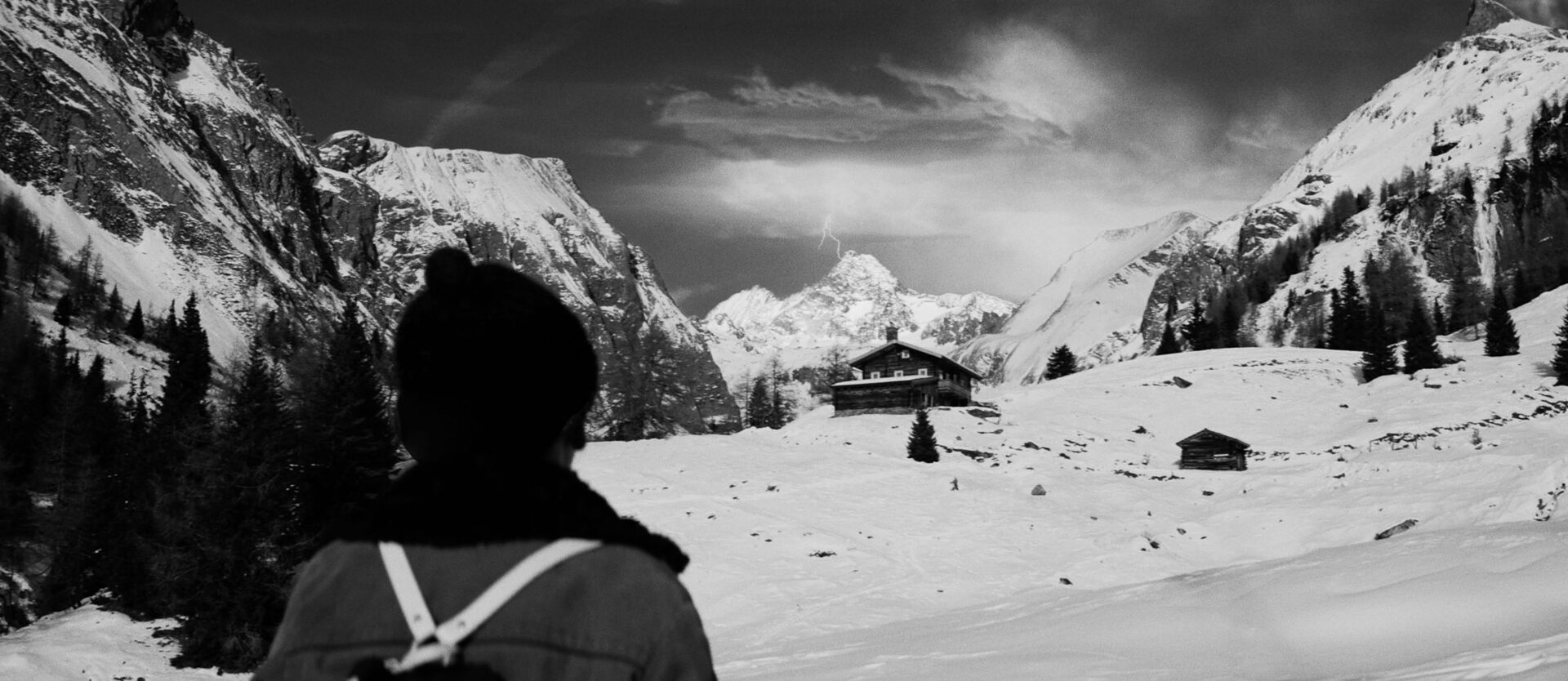 Film Screening: The Universal Theory - Goethe-Institut Canada