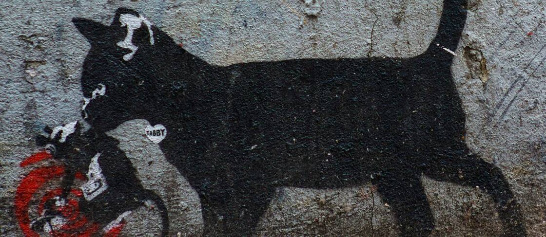 „Tabby Cat vs. Banksy Radar Rat“ von Tabby - Transatlantisches ...