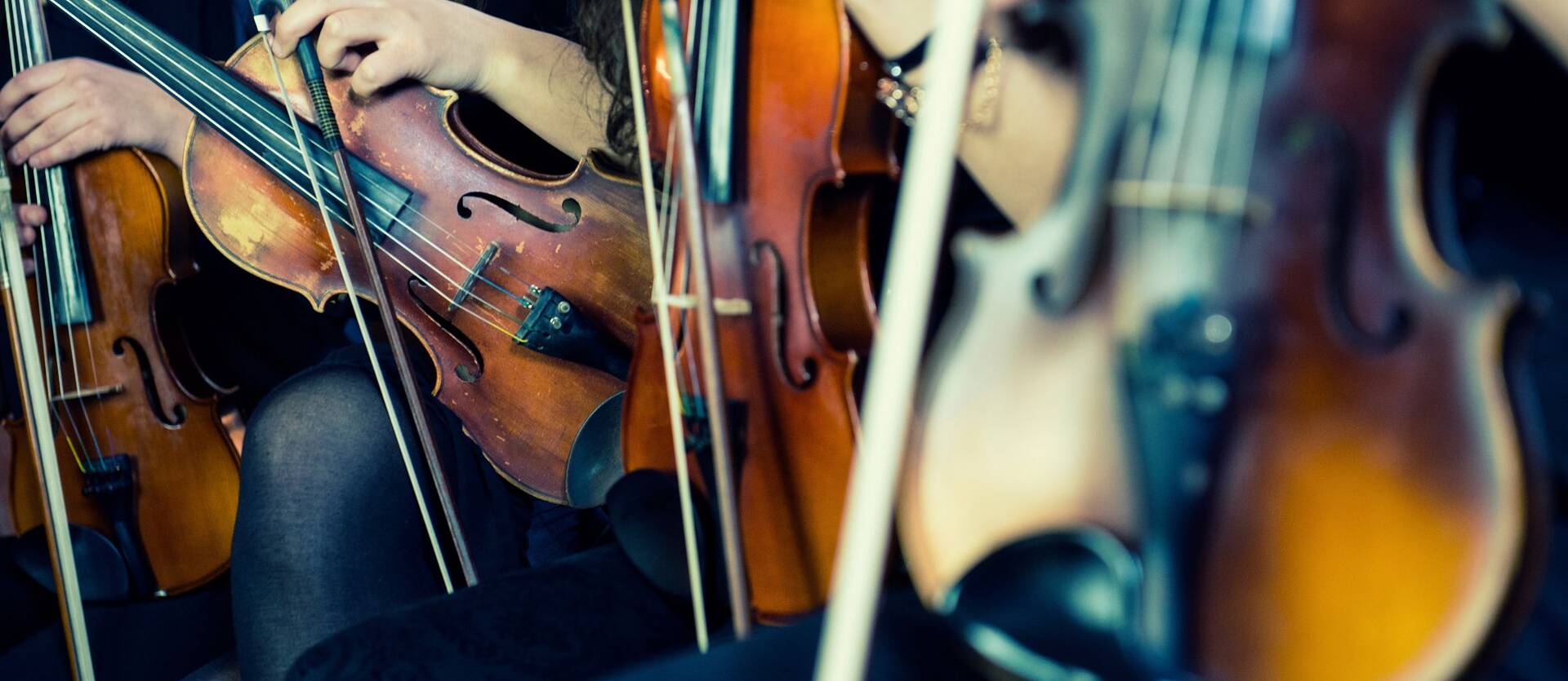 Goethe-Institut Kolkata: Language. Culture. Germany.