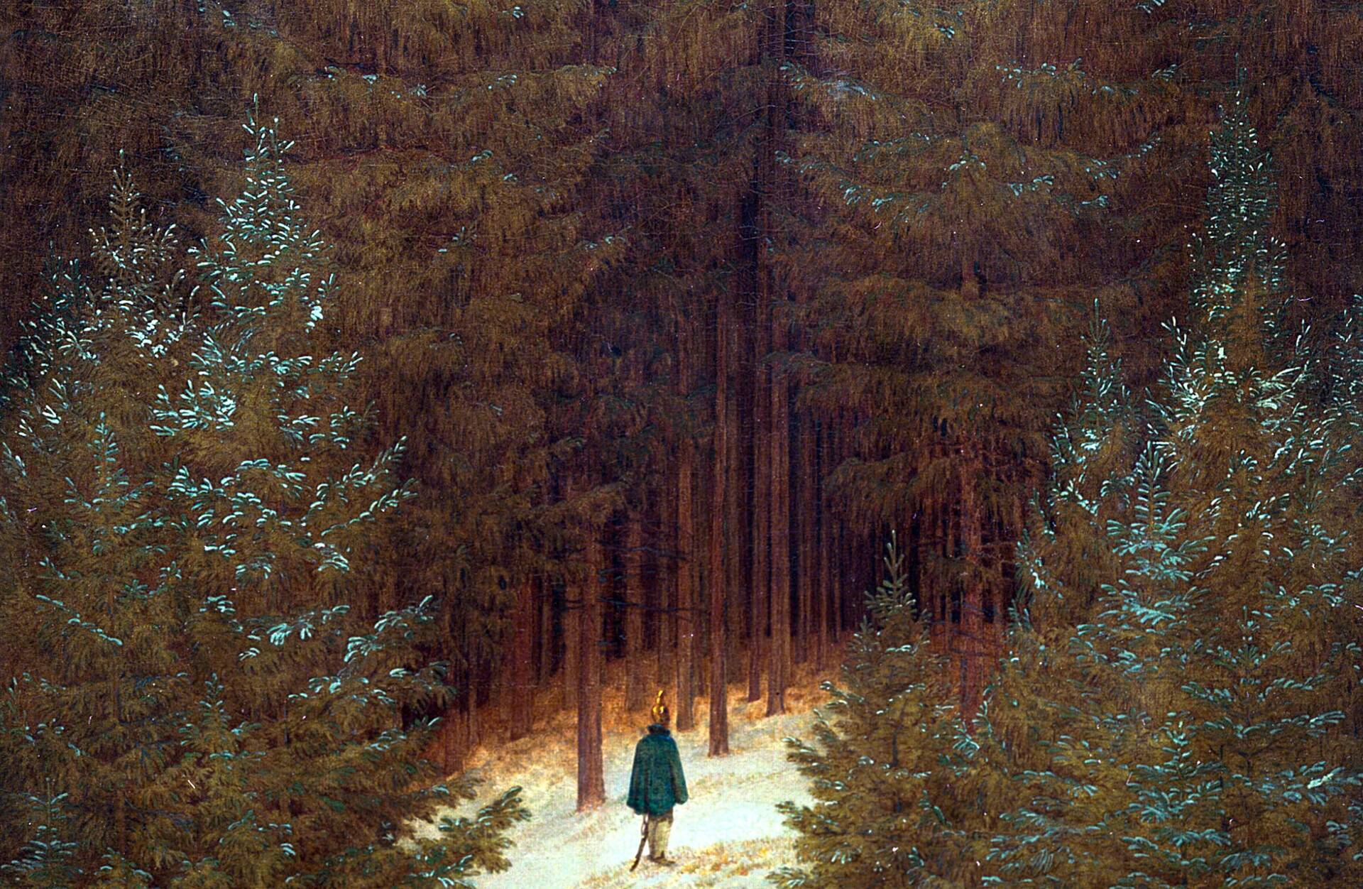 Die Geschichte des Waldes: Mythos „Deutscher Wald“ - Das ...