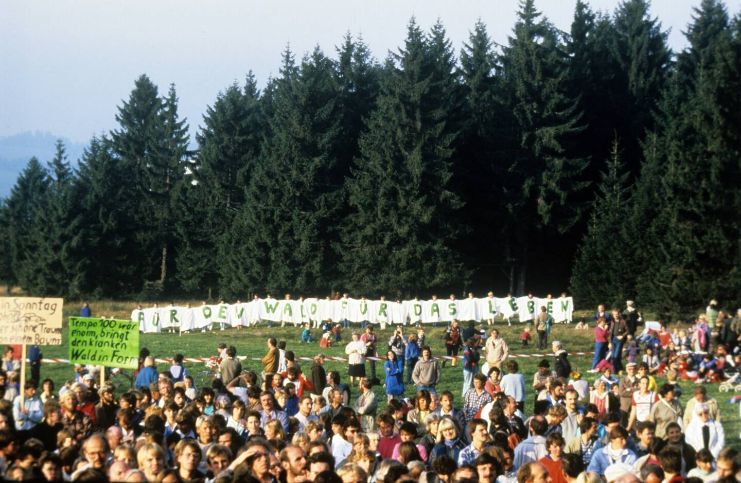 The History of the German Forest - The Germany Magazine of the Goethe ...