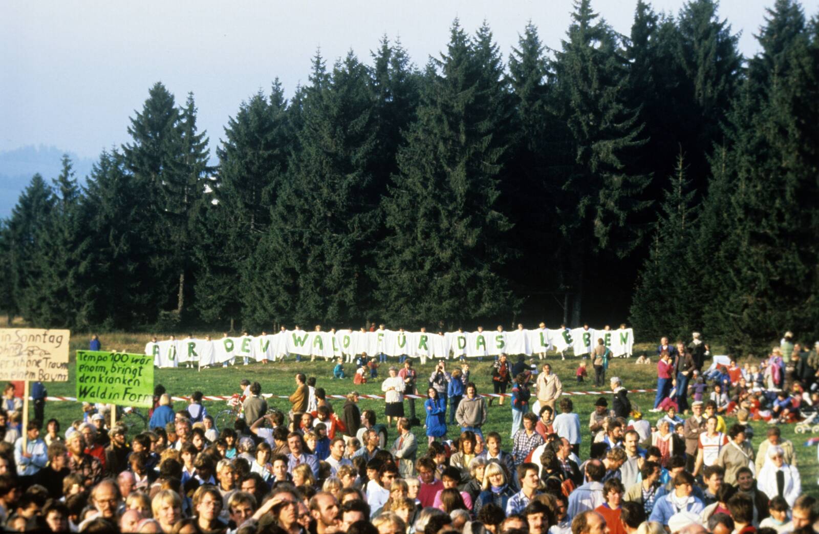 The History of the German Forest - The Germany Magazine of the Goethe ...