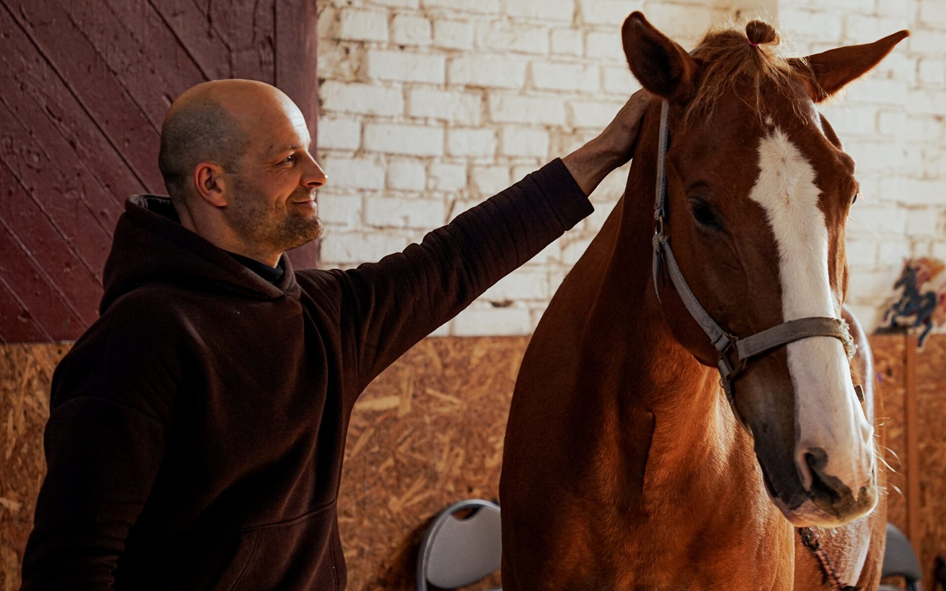Pferde und Menschen - Jádu - Goethe-Institut