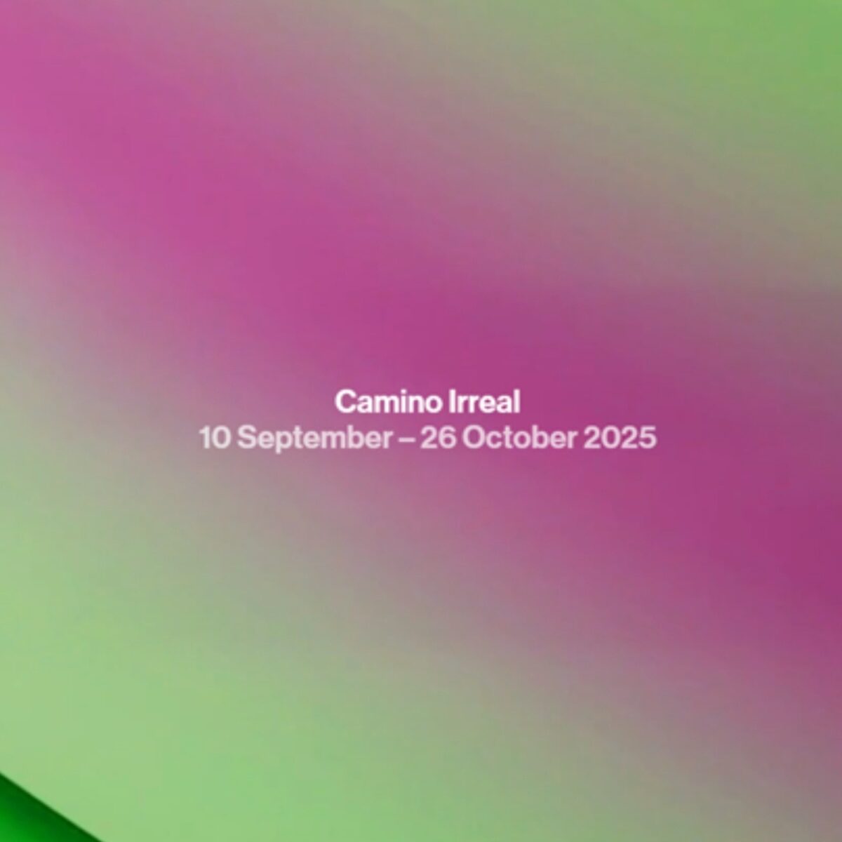 BoCA Bienal of Contemporary Arts | Madrid - Goethe-Institut Spanien