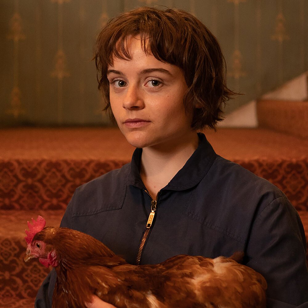 Streaming: Franky Cinco Estrellas - Goethe-Institut Colombia