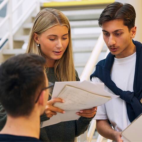 Partnerschule - Goethe-Institut Dänemark