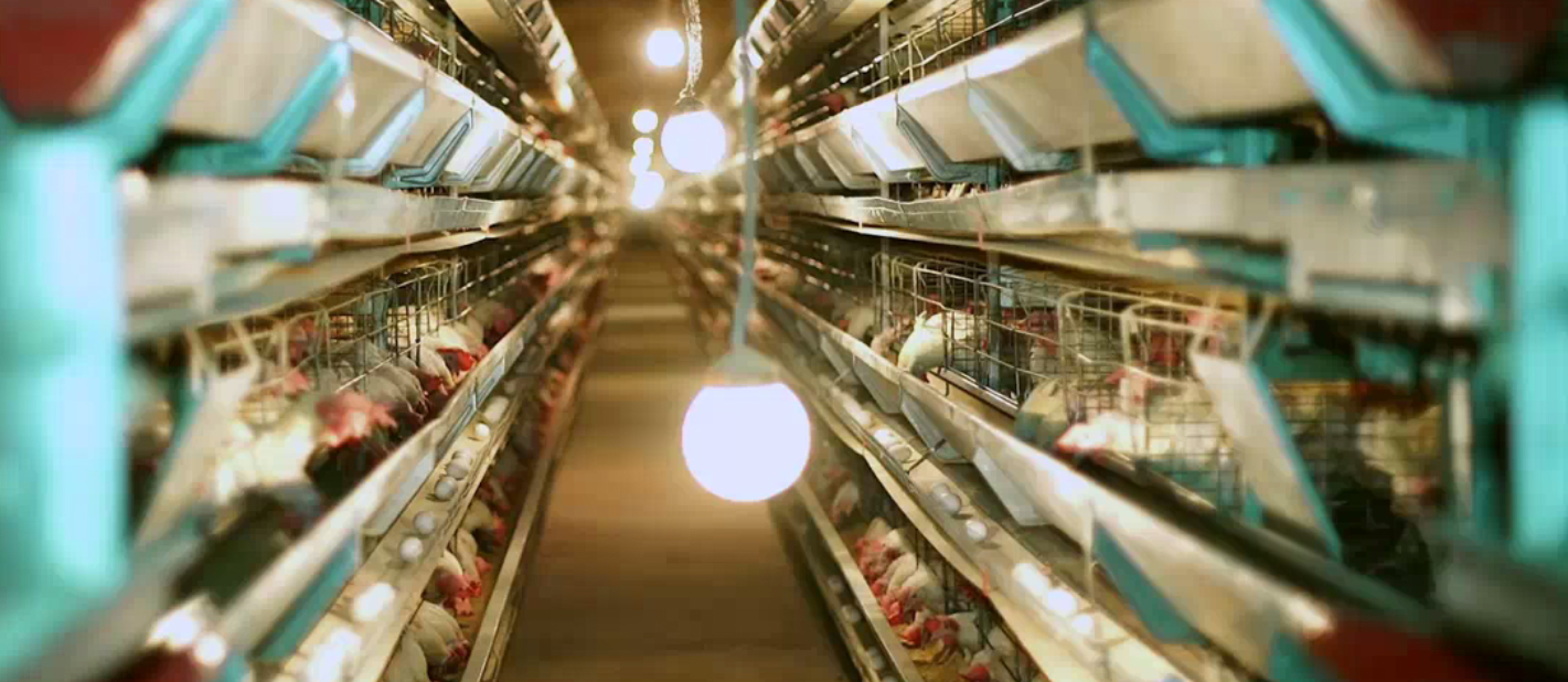 Food 3.0 - Episode 1: Techno Food - Science Film Festival - Knowledge ...