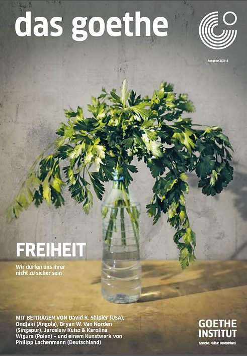 Publikationen - Goethe-Institut