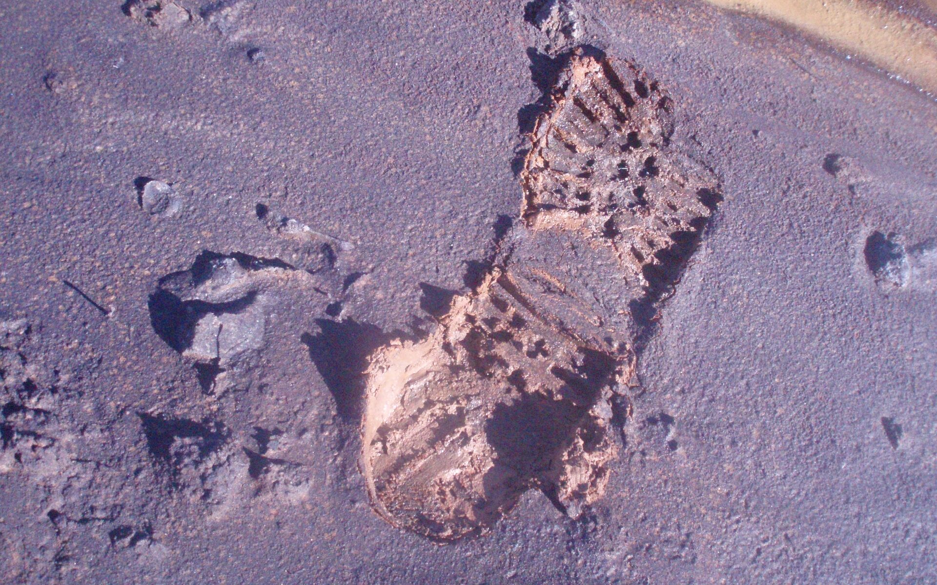 Dreck und Gleichgültigkeit - Jádu - Goethe-Institut