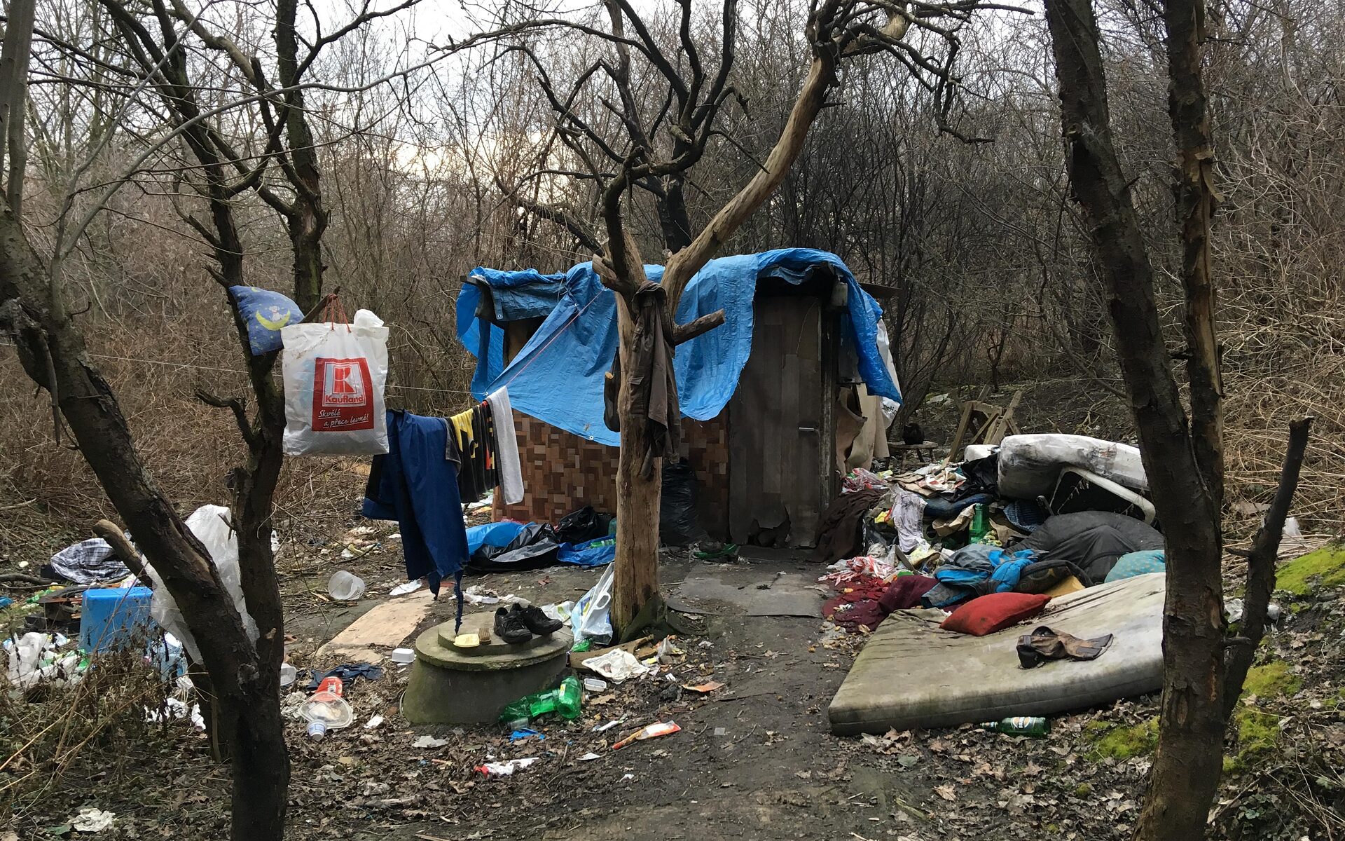 Chudoba byla, je a – bude? - Jádu - Goethe-Institut