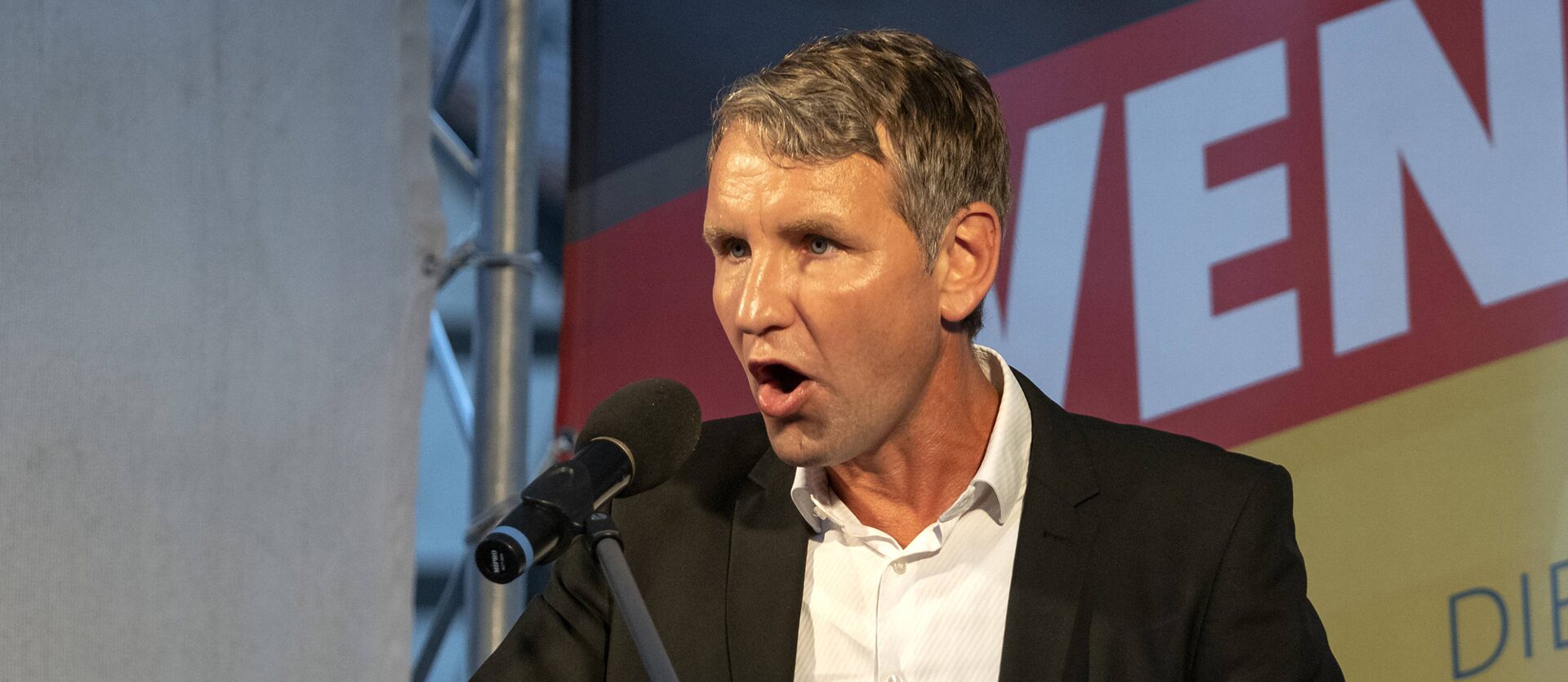 THE AFD AND THE GERMAN FAR RIGHT - The long shadow cast by the past ...