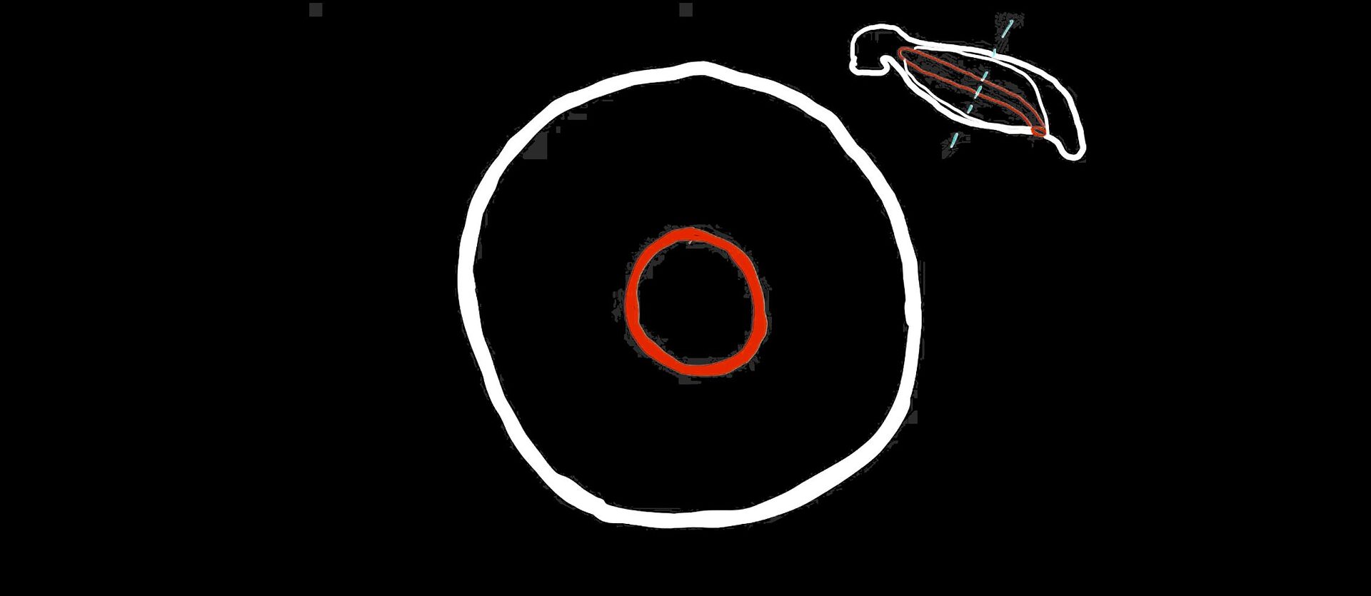 Posthumanismus - Goethe-Institut USA