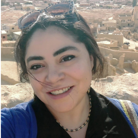Iman Abdel Hamid - Perspectives from North Africa and the Middle East ...