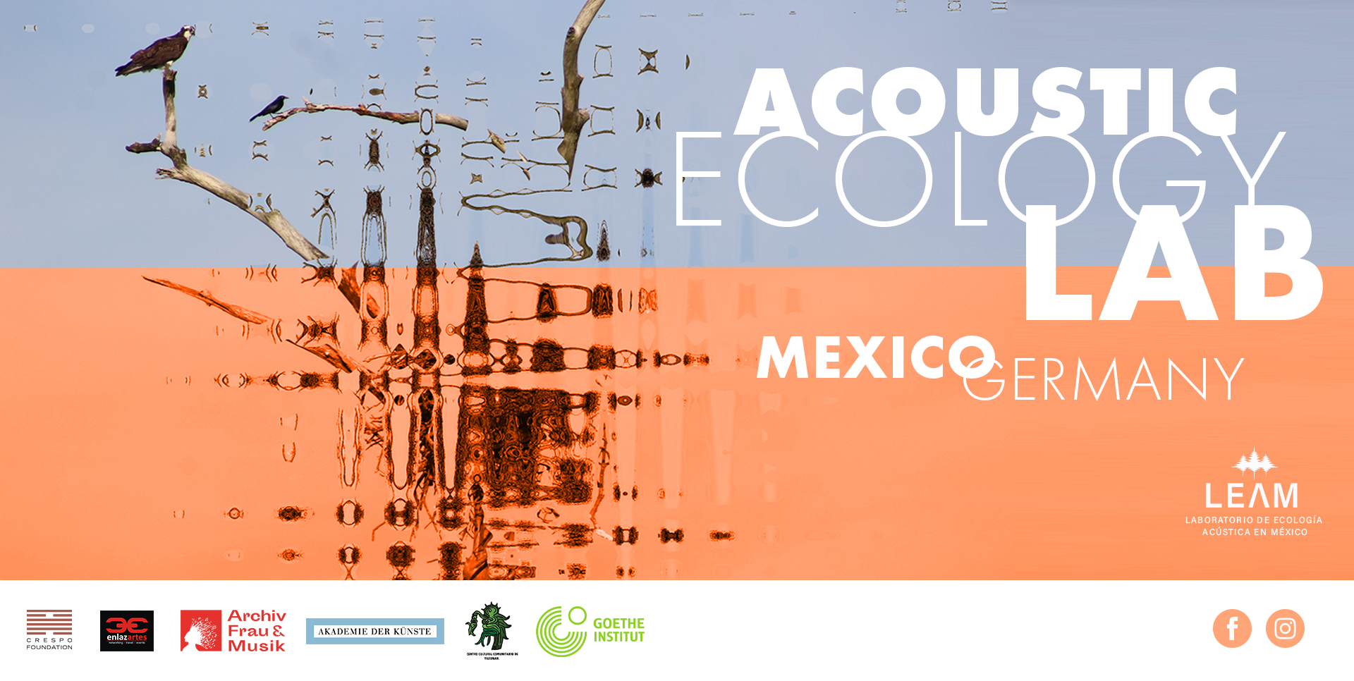 Concierto y Documental: Acoustic Ecology Lab Mexico-Germany - Concierto ...