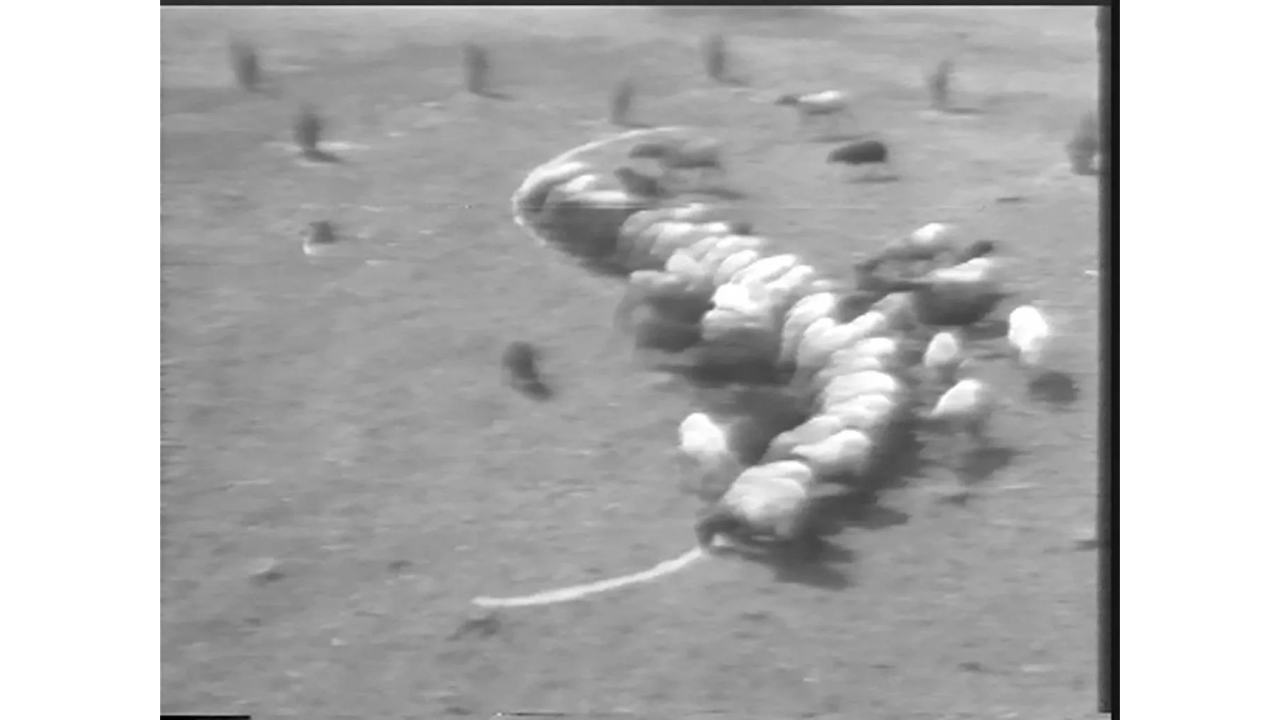 Beyond the Screen – Reflections On The Public Sphere - Goethe-Institut ...