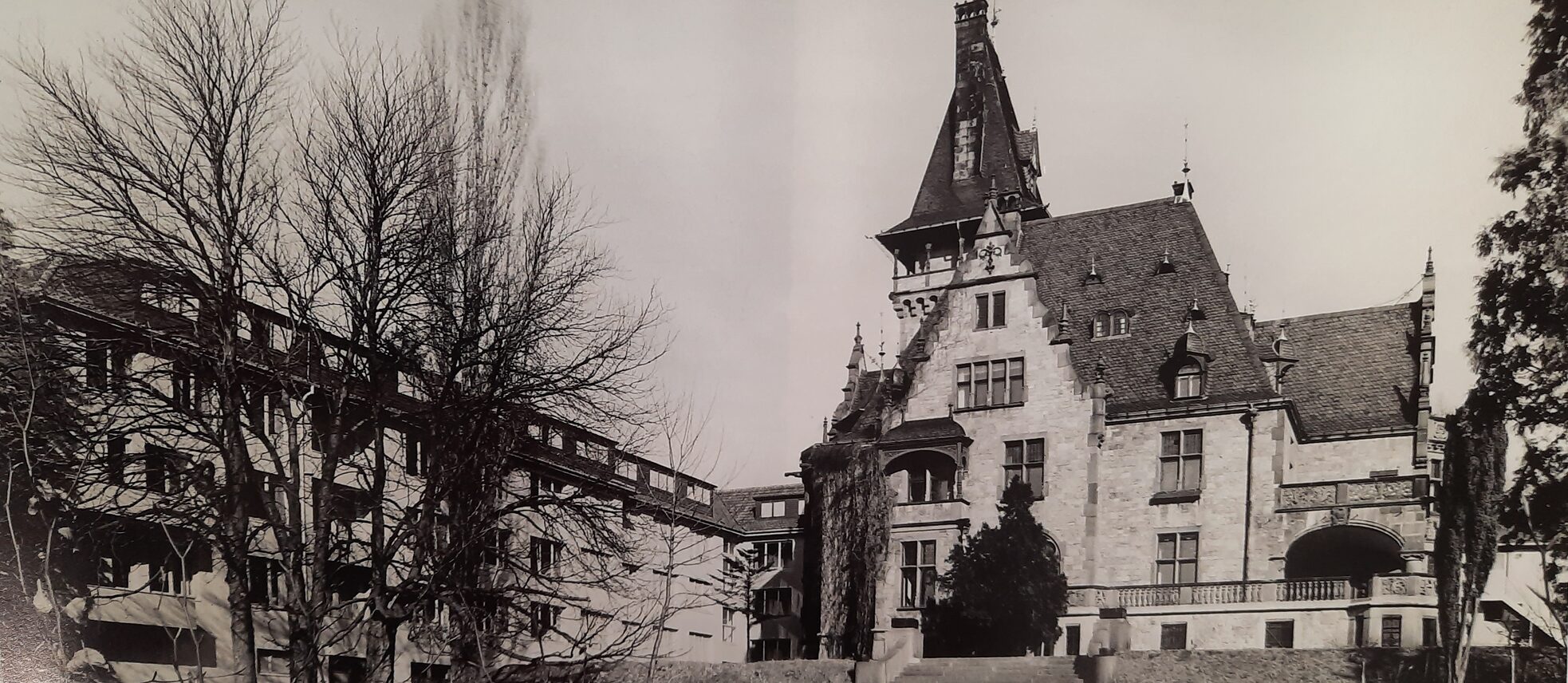 50 Jahre - Goethe-Institut Göttingen - Goethe-Institut Göttingen ...
