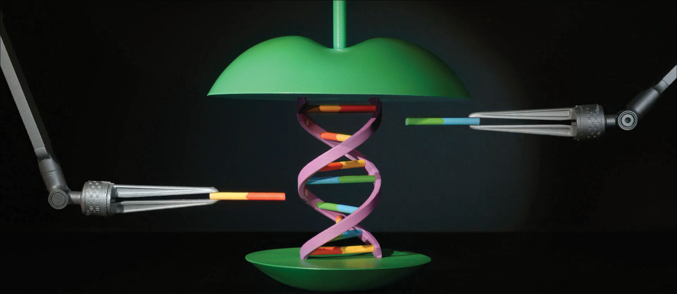 The Apple Core - Body Language - Science Film Festival - Knowledge ...