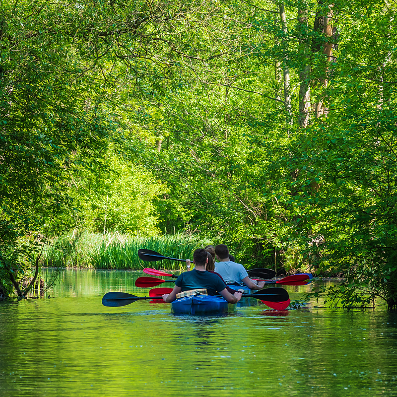 Intensive German Course | Goethe-Institut Berlin