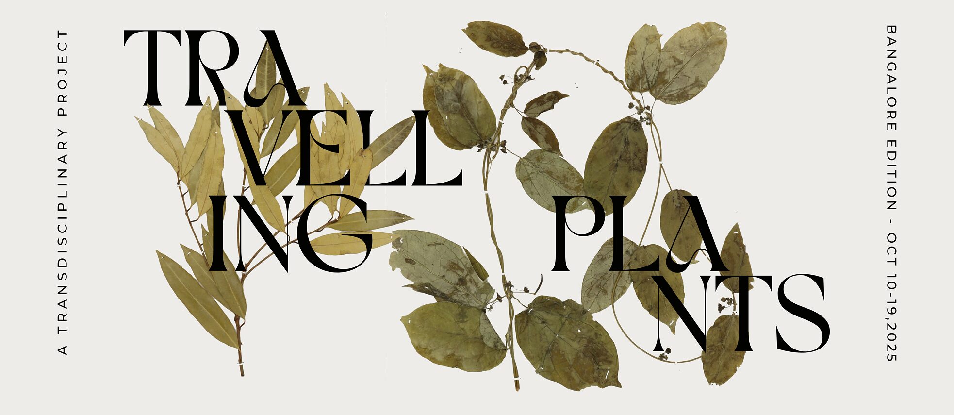 TRAVELLING PLANTS - A TRANSDISCIPLINARY PROJECT - Goethe-Institut / Max ...