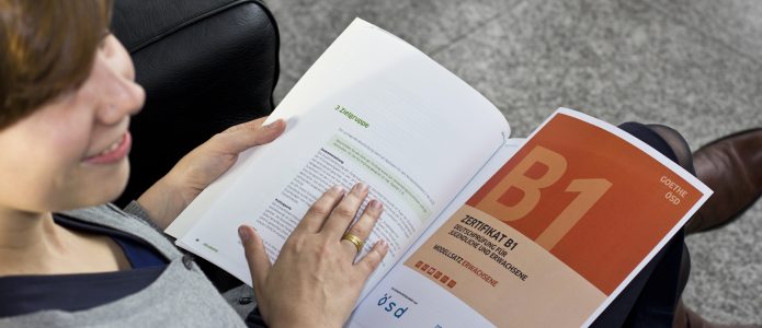 Let your students take the Goethe-Institut examinations - Goethe ...