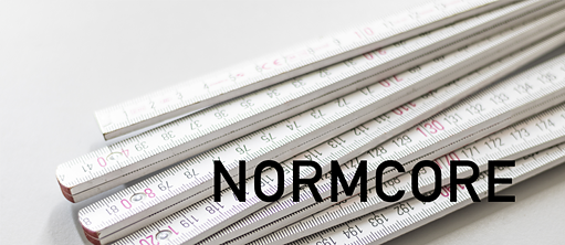 Exhibit: normcore - Goethe-Institut USA